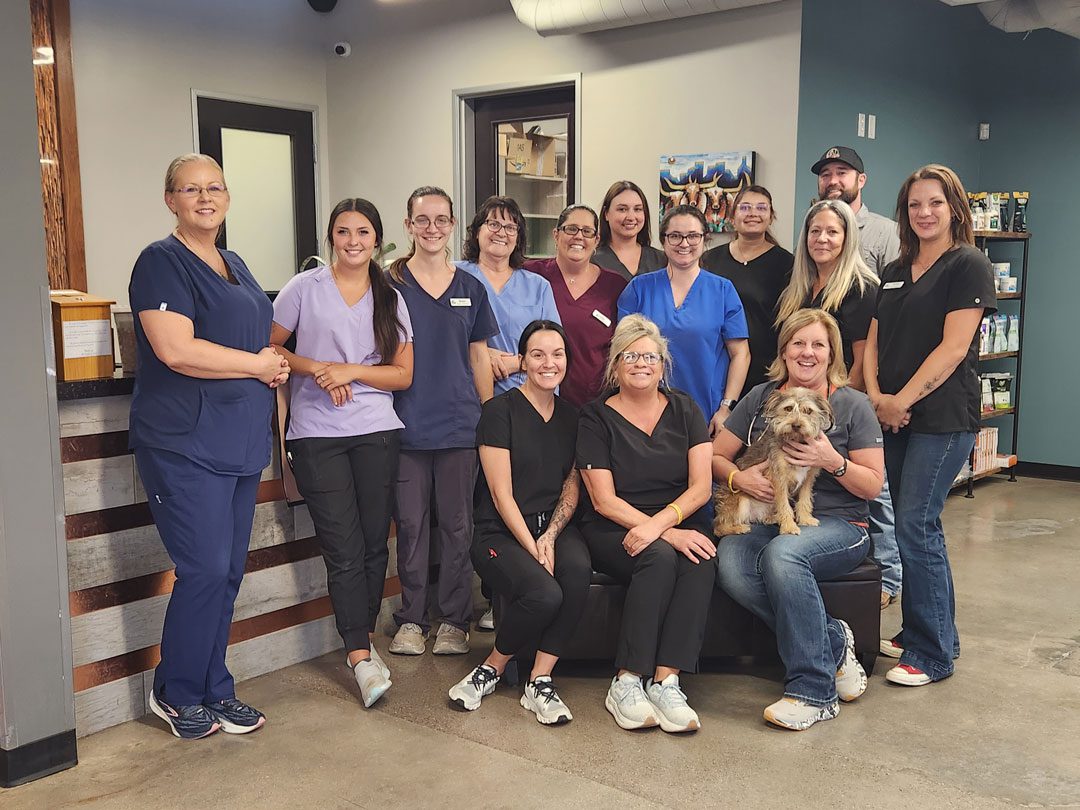 Our Story | Hassayampa Veterinary Services